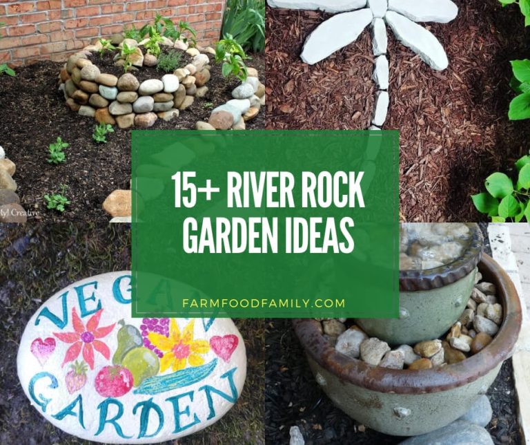 15+ Best River Rock Landscaping Ideas for Stunning Gardens (2024)