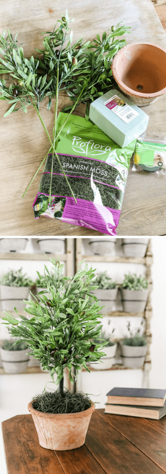 17+ Best DIY Container Topiary Ideas & Designs For Your Home 2024