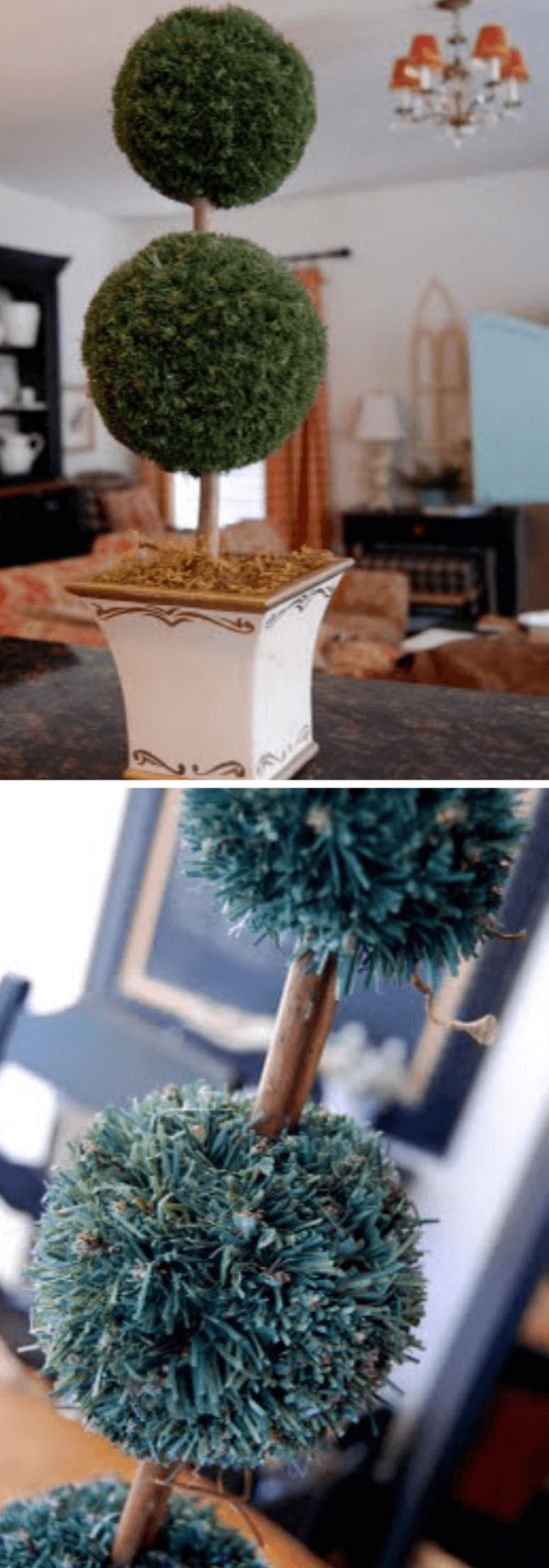 17+ Best DIY Container Topiary Ideas & Designs For Your Home 2024