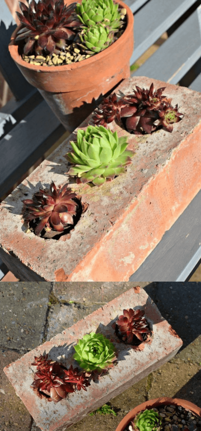 16+ Creative Ways To Use Old Bricks In Your Garden – FarmFoodFamily