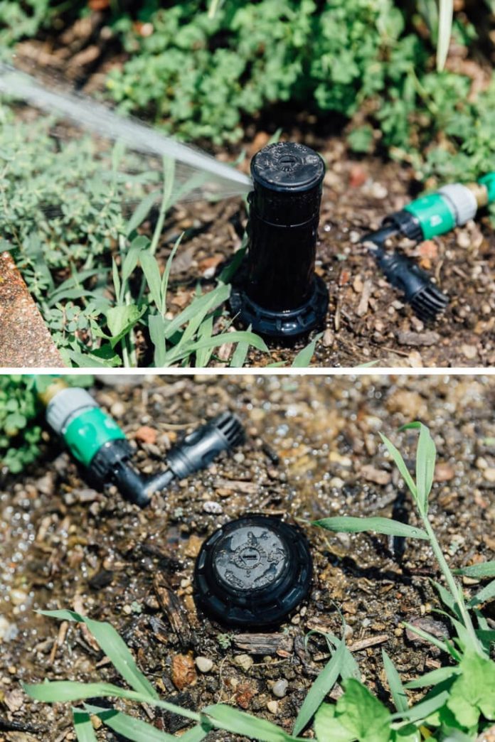 17+ Best DIY Sprinkler System Ideas For Your Yard This 2024