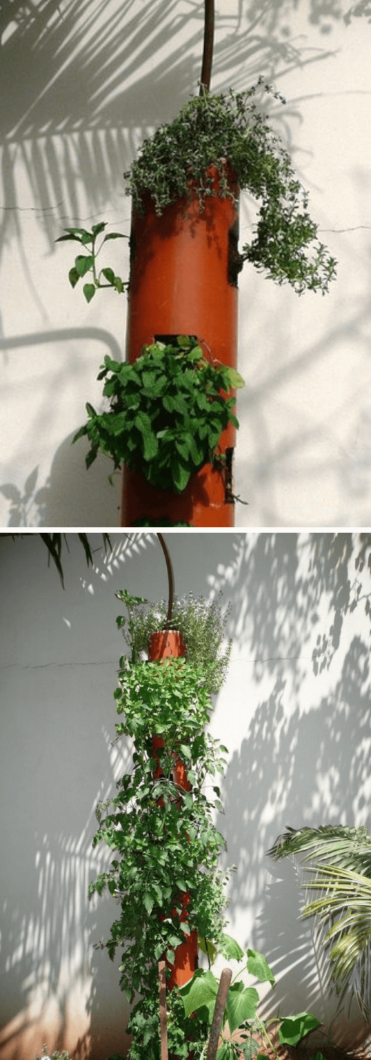 13+ Best DIY PVC Pipe Planters for Your Garden 2024