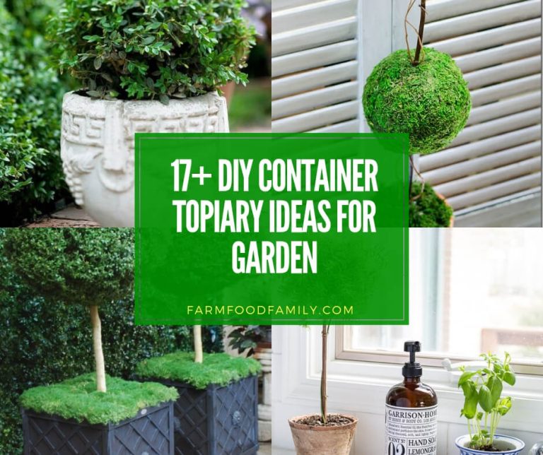 17+ Best DIY Container Topiary Ideas & Designs For Your Home 2024