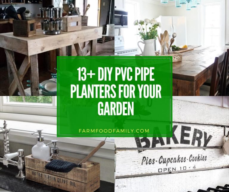 13+ Best DIY PVC Pipe Planters for Your Garden 2024