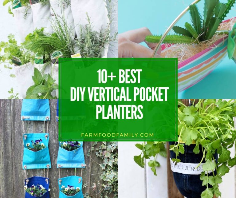 10+ Awesome DIY Vertical Pocket Planter Ideas For Your Garden 2024