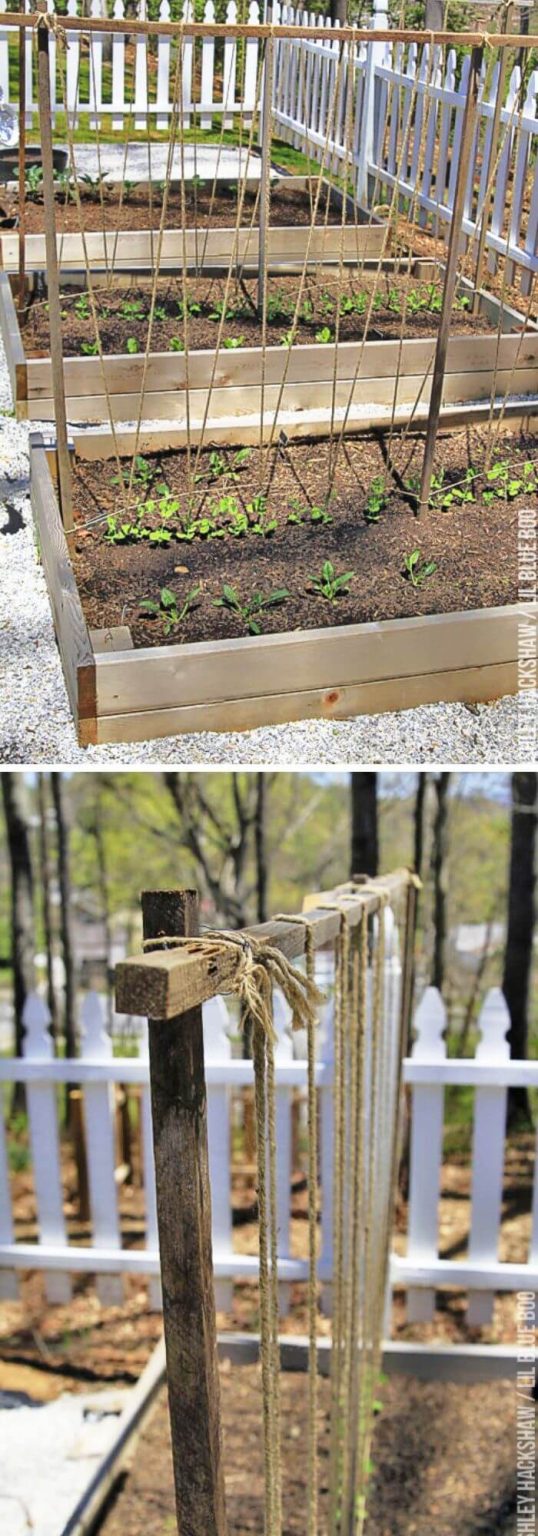 15+ DIY Pea Trellis Ideas for Productive & Beautiful Gardens (2024)
