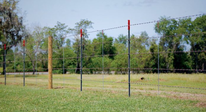 Upgrade Your Farm With These DIY Farm Fence Tips - FarmFoodFamily