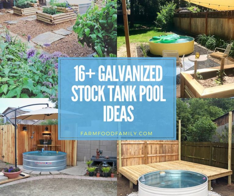 30+ Creative Stock Tank Pool Ideas for a Dreamy Summer Oasis 2024