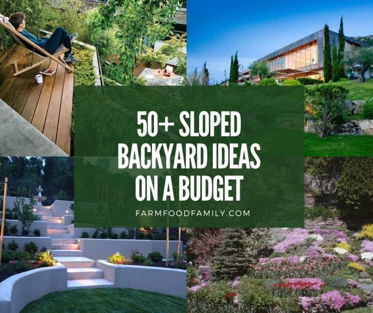 75+ Best Sloped Backyard Landscaping Ideas On A Budget For 2024