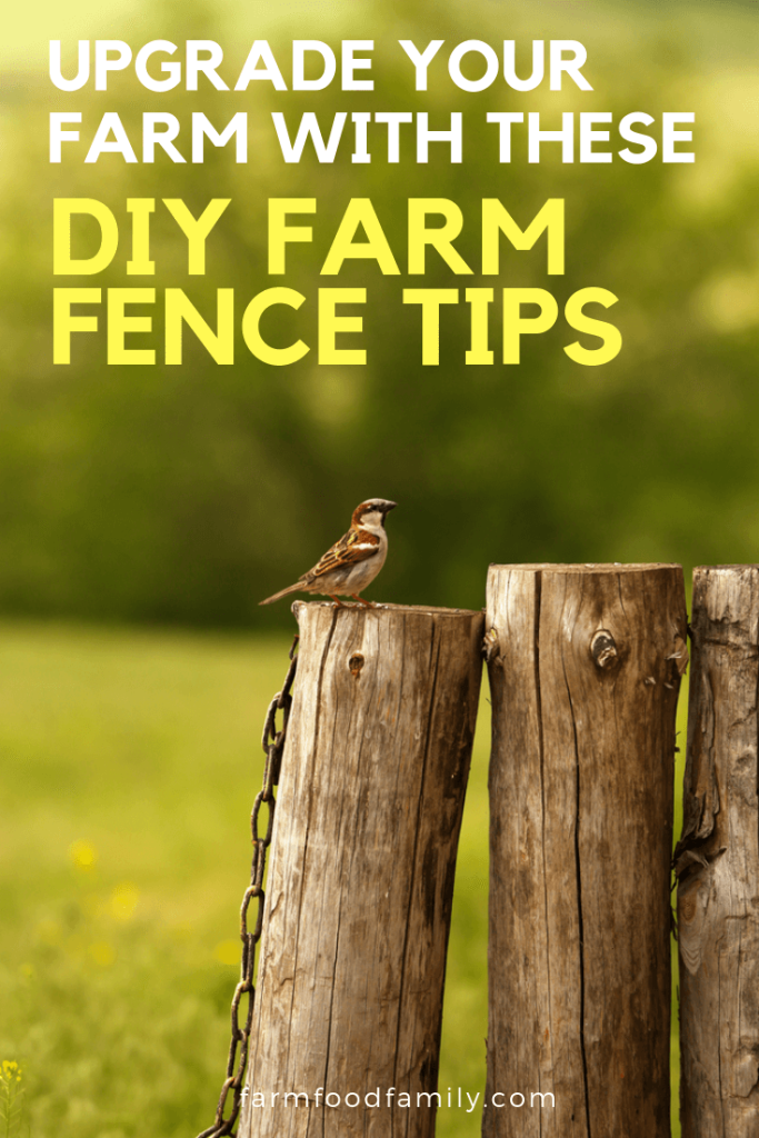 Upgrade Your Farm With These DIY Farm Fence Tips - FarmFoodFamily