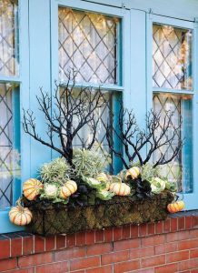 15+ Best Window Box Decorating Ideas For This Fall and Halloween 2024