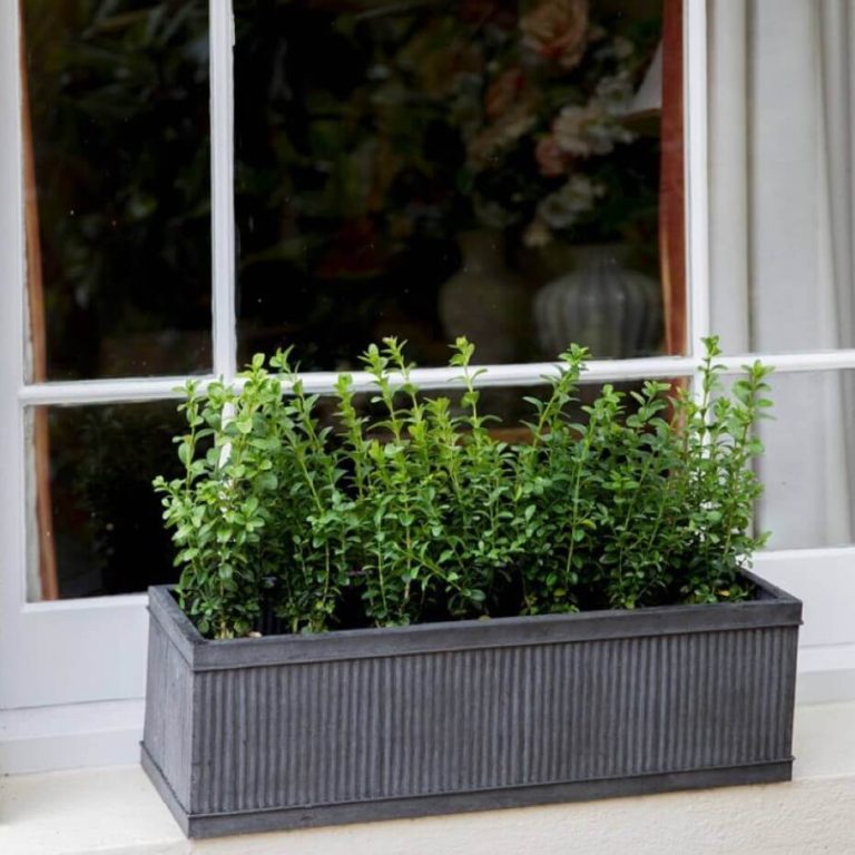 15+ Best Window Box Planter Ideas & Projects For 2024