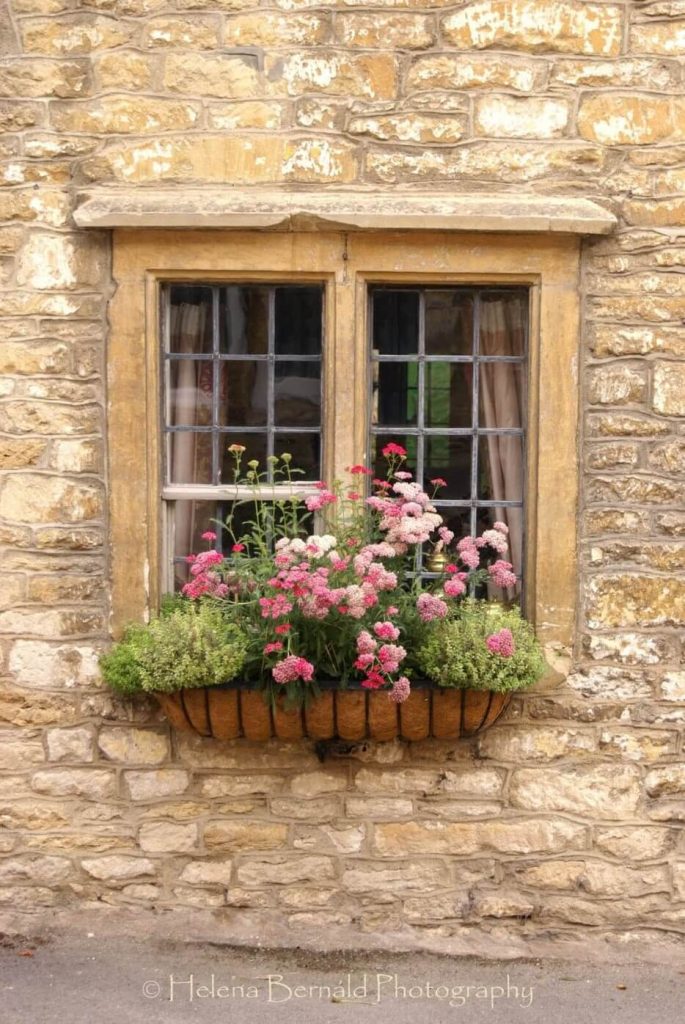 15+ Best Window Box Planter Ideas & Projects For 2024
