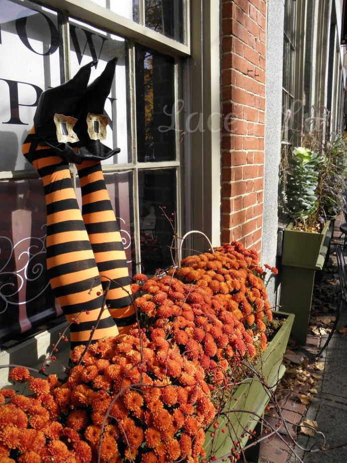 15+ Best Window Box Decorating Ideas For This Fall and Halloween 2024