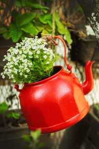 Window Box of Flowering Plants Creates High Impact Summer Color