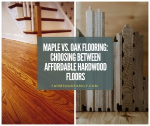 Maple vs. Oak Flooring: Choosing Between Affordable Hardwood Floors