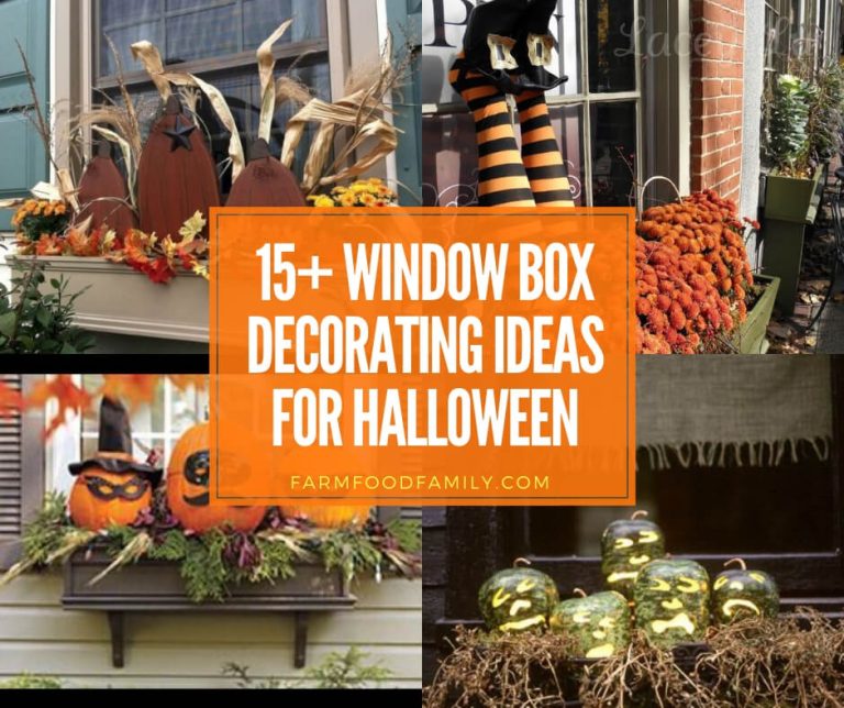 15+ Best Window Box Decorating Ideas For This Fall and Halloween 2024