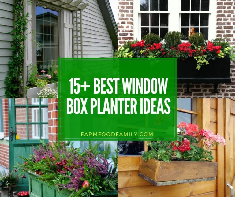 15+ Best Window Box Planter Ideas & Projects For 2024
