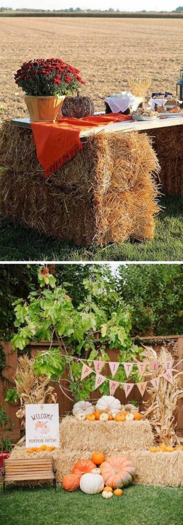 45+ Gorgeous Fall Harvest Display Ideas to Elevate Your Decor 2024