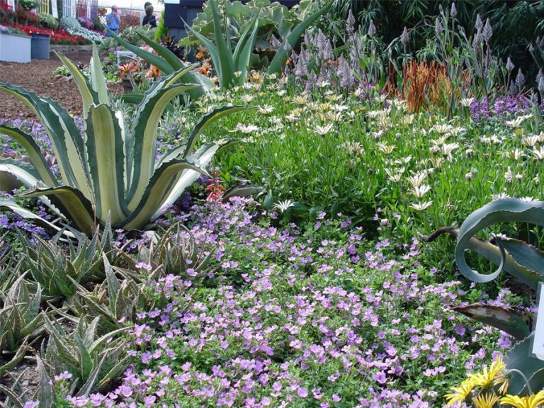 17+ Sloping Garden Ideas with Ground Covers - FarmFoodFamily