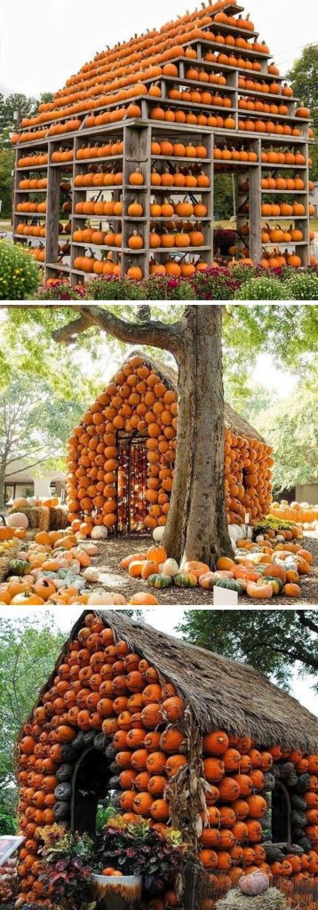 45+ Gorgeous Fall Harvest Display Ideas to Elevate Your Decor 2024