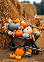 45+ Gorgeous Fall Harvest Display Ideas to Elevate Your Decor 2024