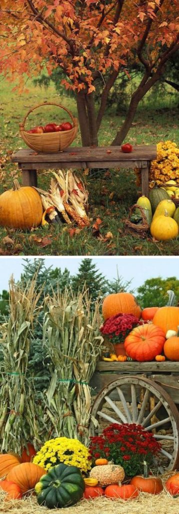45+ Gorgeous Fall Harvest Display Ideas to Elevate Your Decor 2024