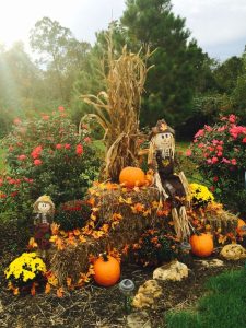 45+ Gorgeous Fall Harvest Display Ideas to Elevate Your Decor 2024