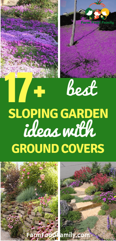 17+ Sloping Garden Ideas with Ground Covers - FarmFoodFamily