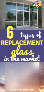 6 Types of Replacement Glass Available in the Market - FarmFoodFamily