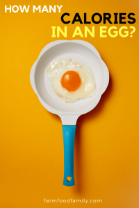 How Many Calories in An Egg - Can You Eat 10 Eggs a Day?