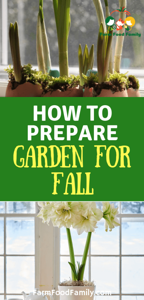 Tips For Preparing The Yard and Garden For Fall