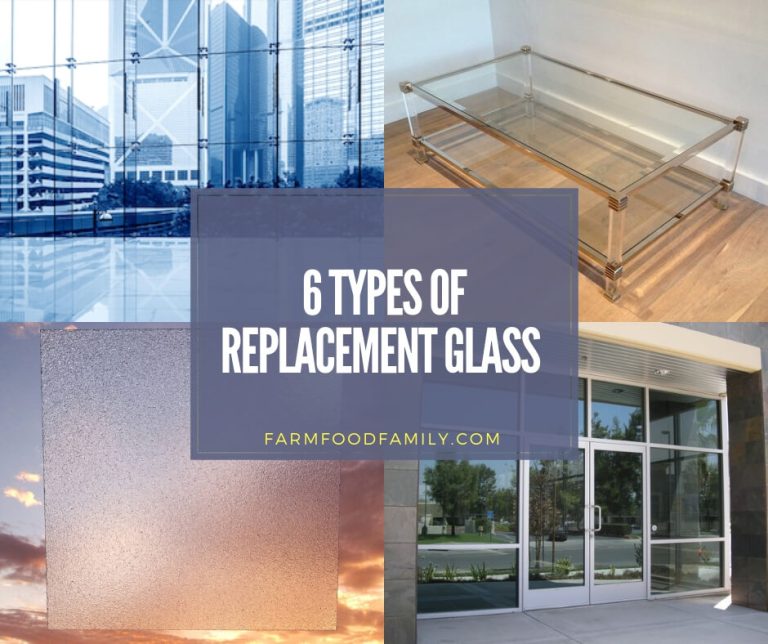 6 Types of Replacement Glass Available in the Market - FarmFoodFamily