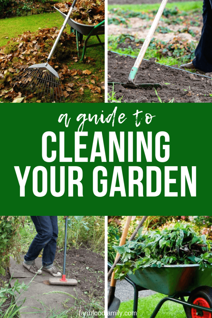 A Guide To Cleaning Your Garden Throughout The Year