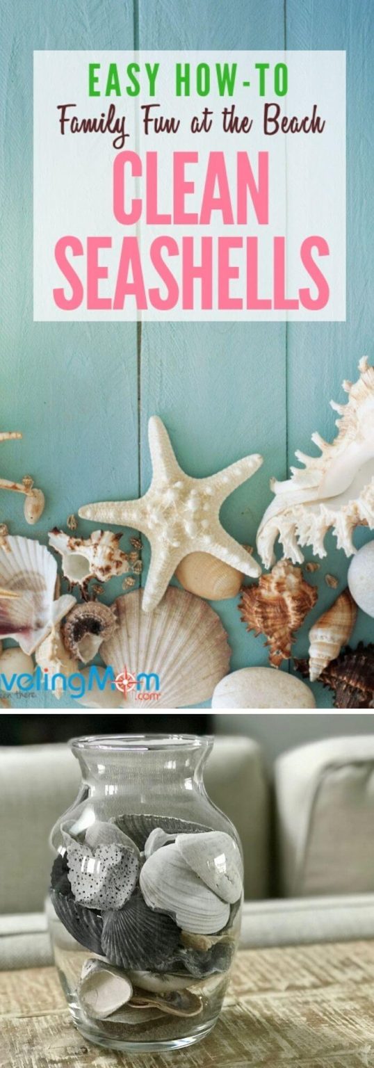 20+ Creative DIY Seashell Ideas & Projects For 2024