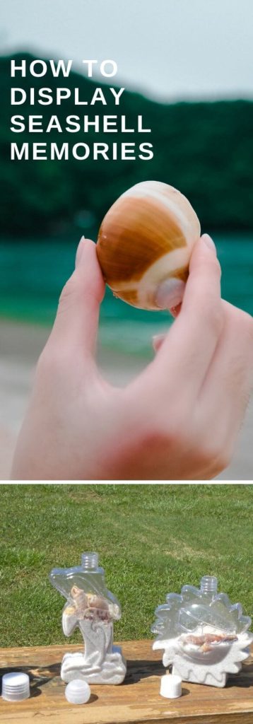 20+ Creative DIY Seashell Ideas & Projects For 2024