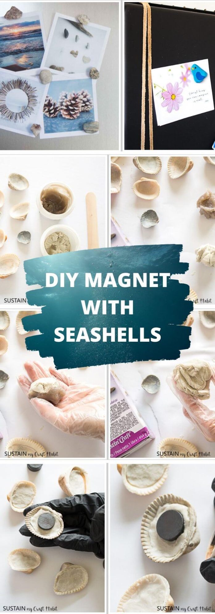 20+ Creative DIY Seashell Ideas & Projects For 2024