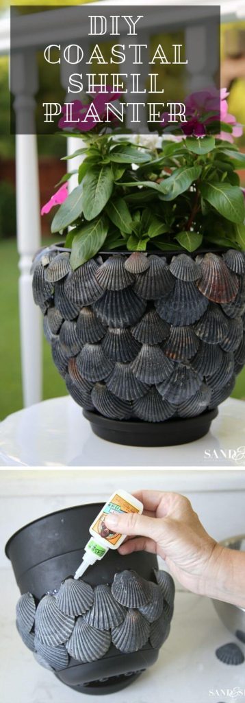 20+ Creative DIY Seashell Ideas & Projects For 2024
