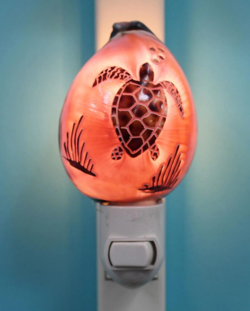 20+ Creative DIY Seashell Ideas & Projects For 2024