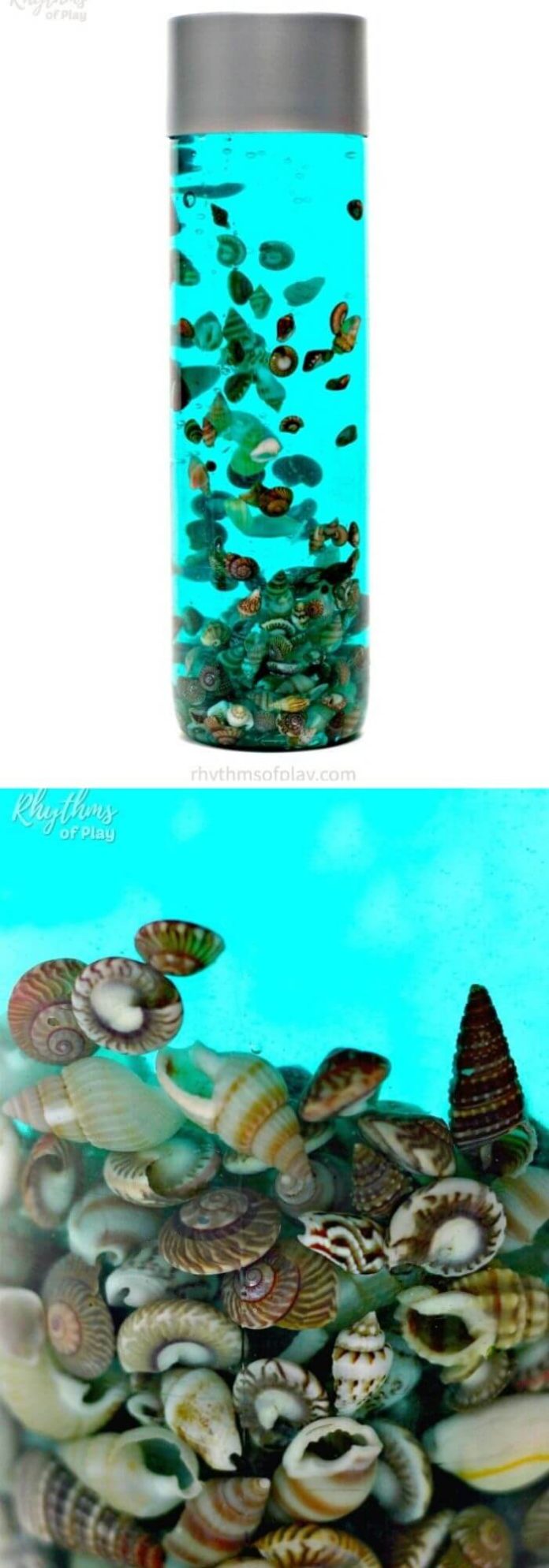 20+ Creative DIY Seashell Ideas & Projects For 2024