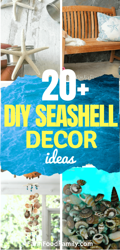 20+ Creative DIY Seashell Ideas & Projects For 2024