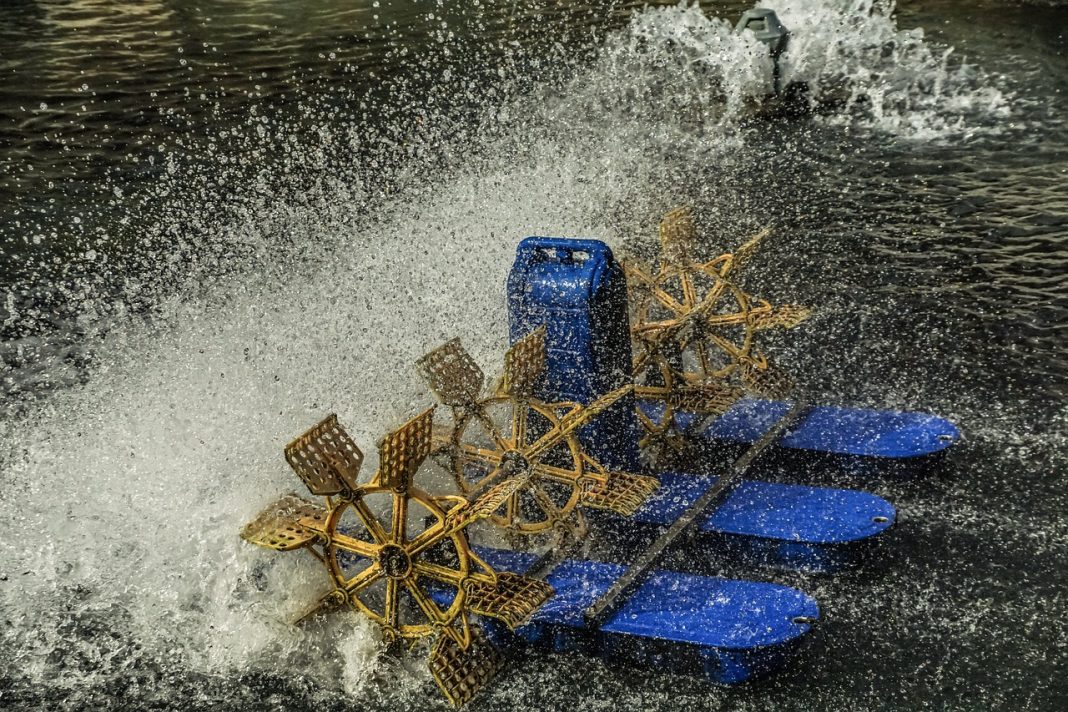 The Economic and Technical Benefits of Microalgae-assisted Aquaculture