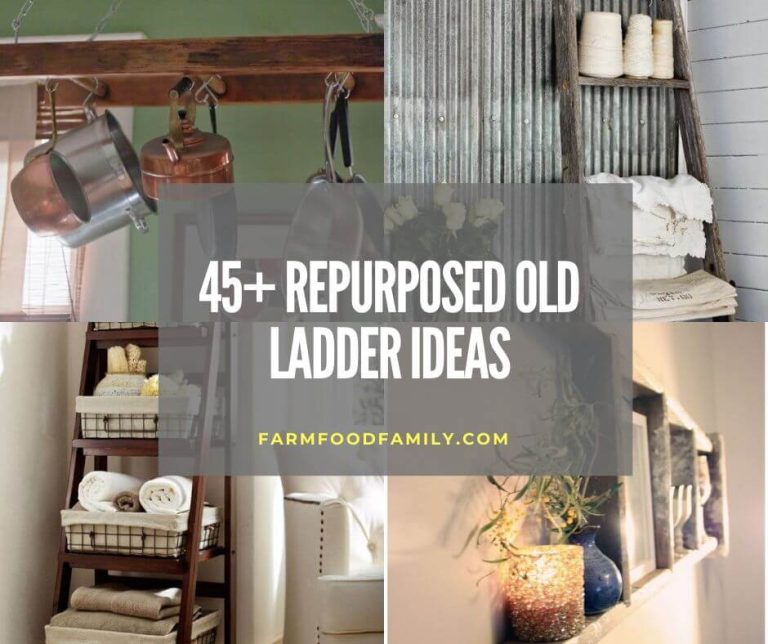 45+ Clever Repurposed DIY Old Ladder Ideas & Designs (With Tutorials)