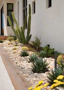 30+ Stunning Low-Water Landscaping Ideas & Designs For Your Yard