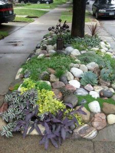 30+ Stunning Low-Water Landscaping Ideas & Designs For Your Yard