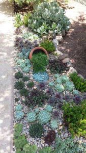 30+ Stunning Low-Water Landscaping Ideas & Designs For Your Yard