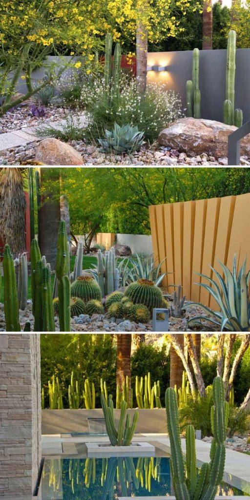 30+ Stunning Low-Water Landscaping Ideas & Designs For Your Yard