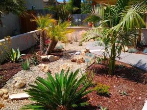 30+ Stunning Low-Water Landscaping Ideas & Designs For Your Yard