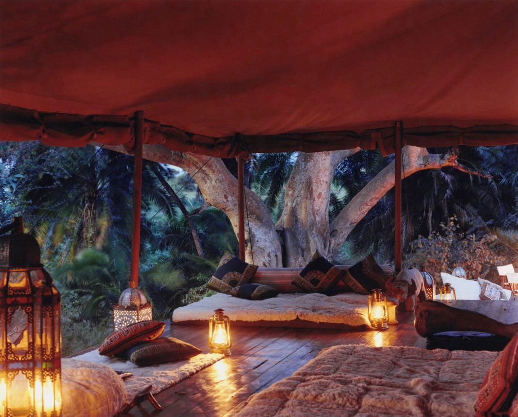 27+ Magical Backyard Ideas and Designs That You Can Try For 2024