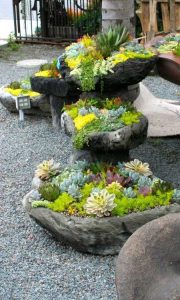 30+ Stunning Low-Water Landscaping Ideas & Designs For Your Yard